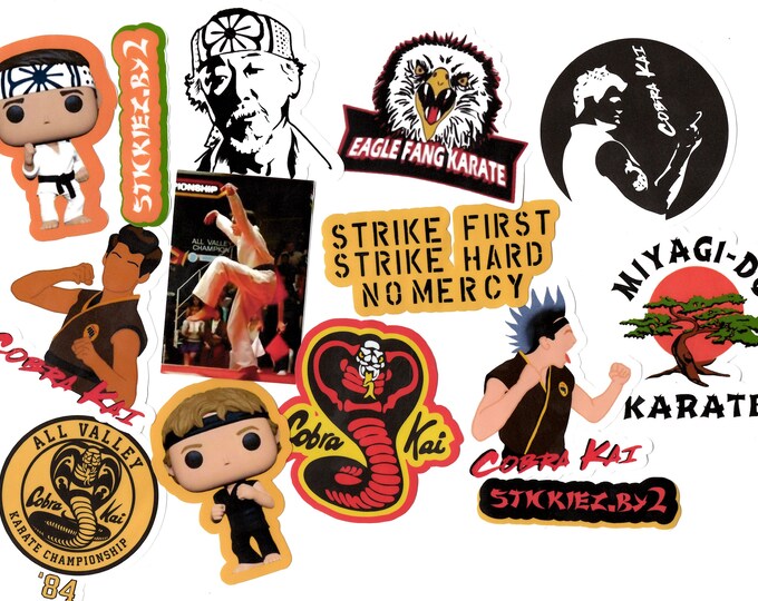 COBRA KAI STICKERS Karate Kid Mr Miyagi Netflix Shows Miguel Cobra Kai ...