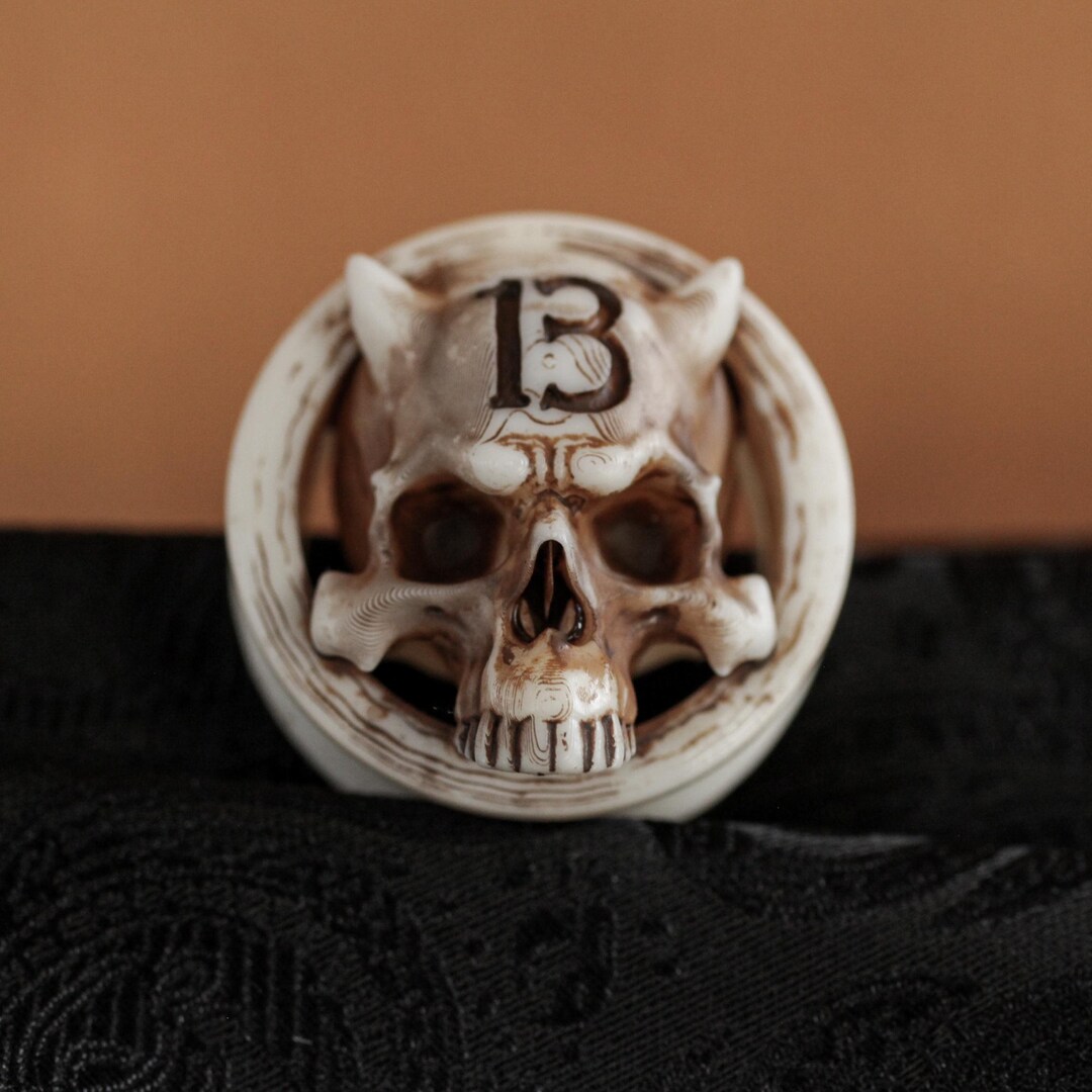 Horned Skull Ear Gauge: Gothic Dark Brotherhood Jewelry - Resin, Brass ...
