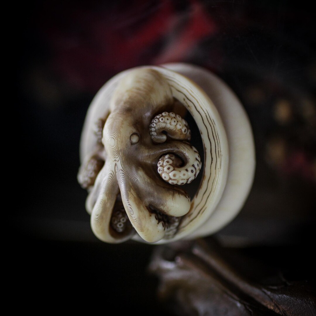 Octopus Tentacle Ear Tunnels: Hand-carved Goth Jewelry, Resin/brass or ...