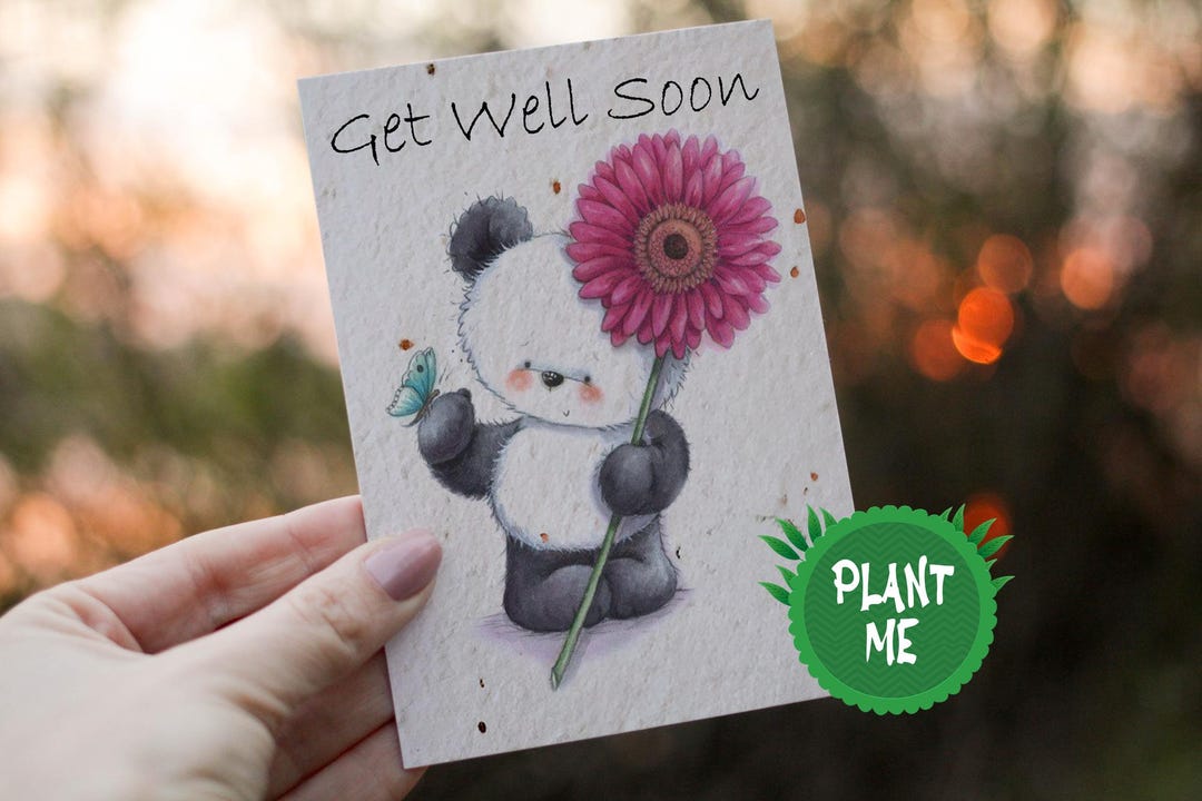 Panda Get Well Card, Get Well Plantable Card, Card for Illness ...