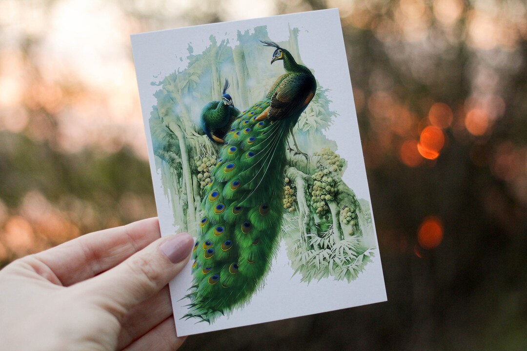 Peacock Birthday Card, Peacock Card, Personalized Peacock Picture, A4 ...