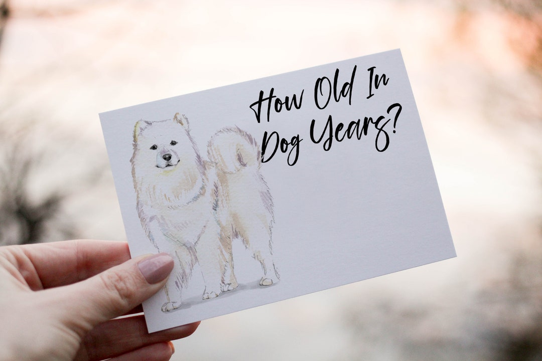 Samoyed Dog Birthday Card, Dog Birthday Card, Personalized Dog Breed ...