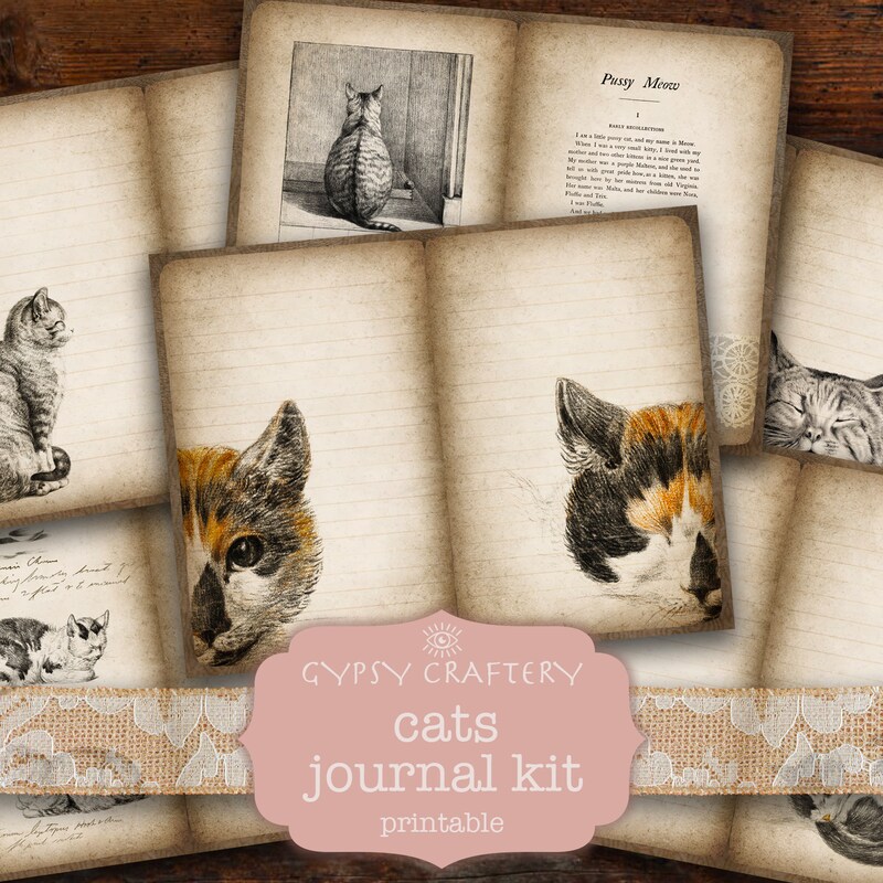 Cat Scrapbook - Etsy