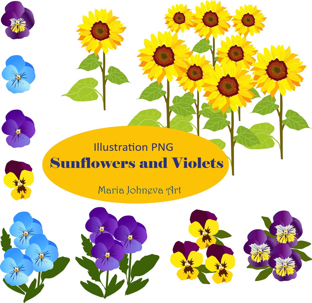 Sonnenblumen Clipart, Veilchen Clipart, Blumen PNG, Blumen Illustration ...