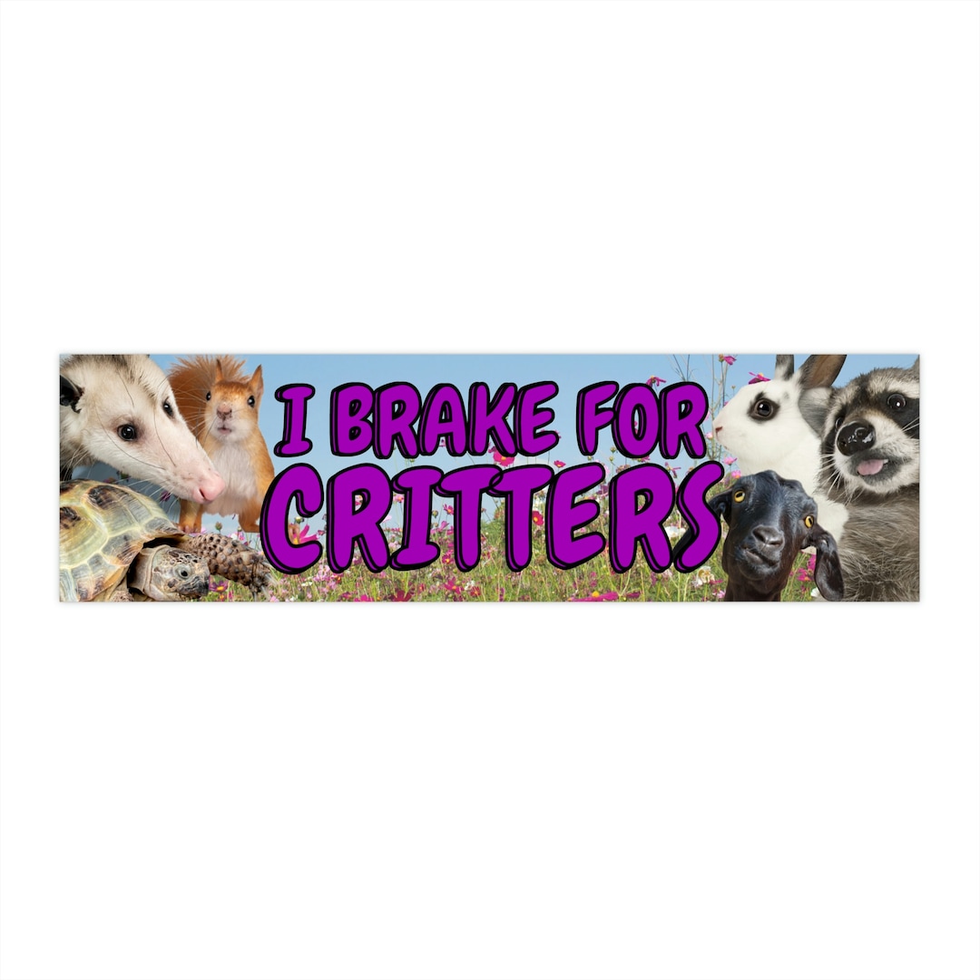 I Brake for Critters Bumper Sticker - Etsy