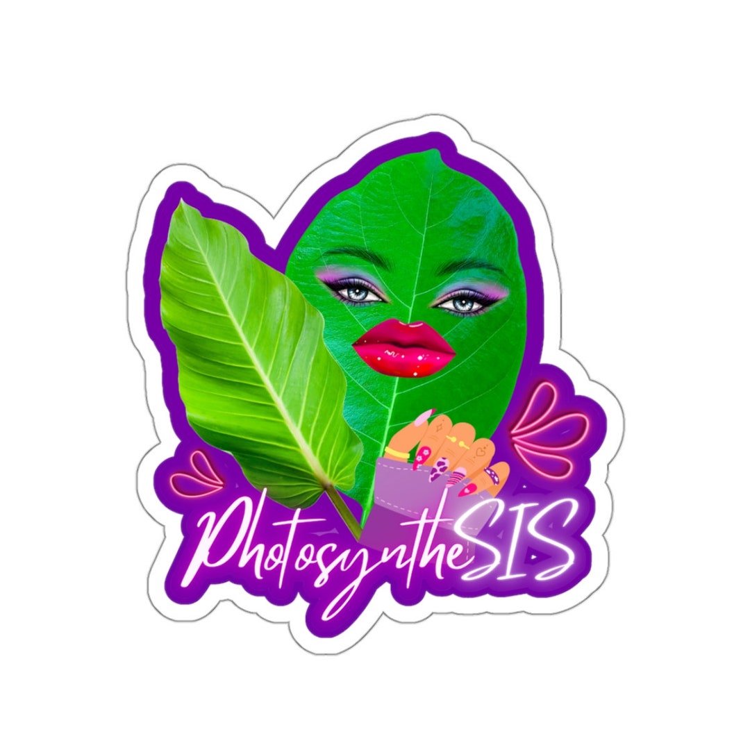 Photosynthesis Sticker - Etsy