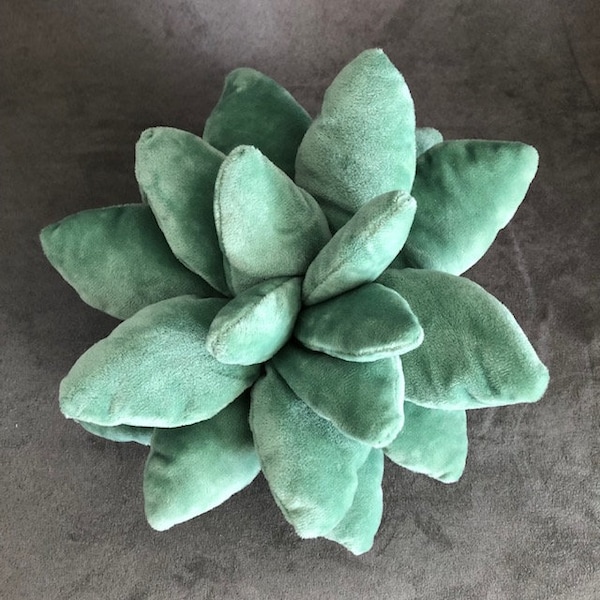 Plant Plush - Etsy