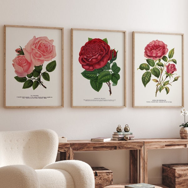 Botanical Rose Print - Etsy