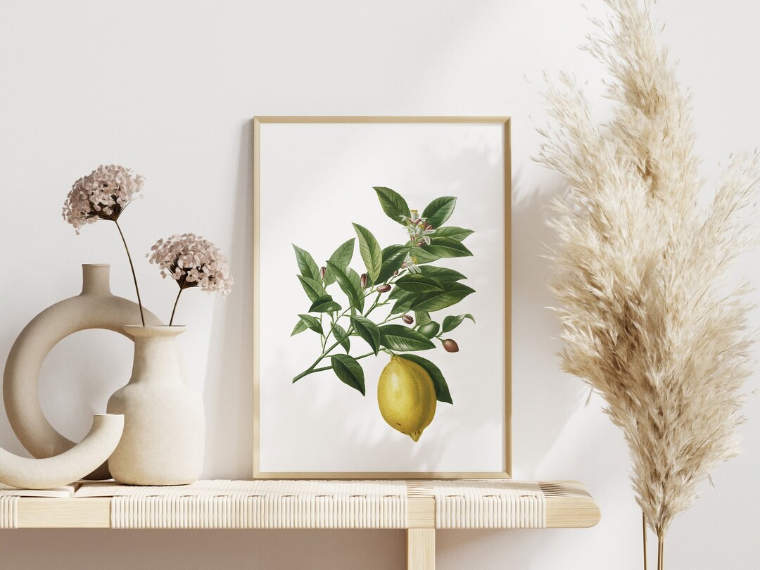 Vintage Lemon Print, Kitchen Wall Art, Vintage Fruit Print, Vintage ...