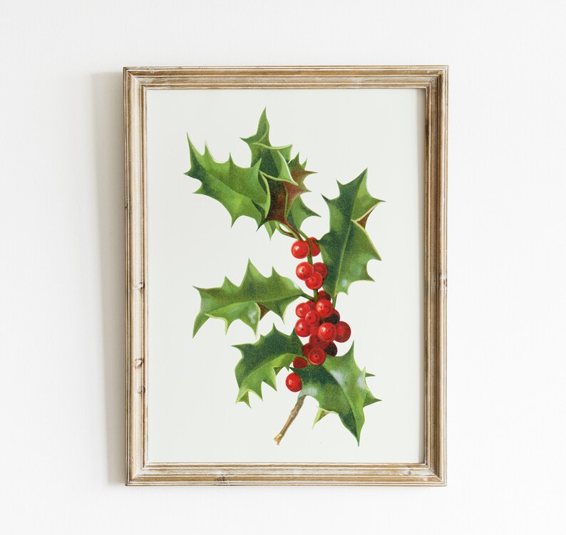 Vintage Christmas Decorations Holly Print Antique Art - Etsy
