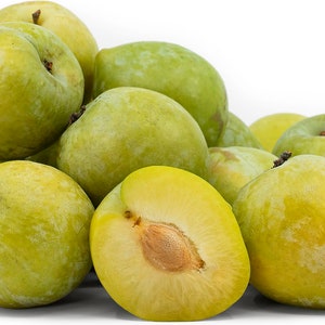 Emerald Pluot - Plum X Apricot Hybrid (5 Scion/cuttings) - Etsy