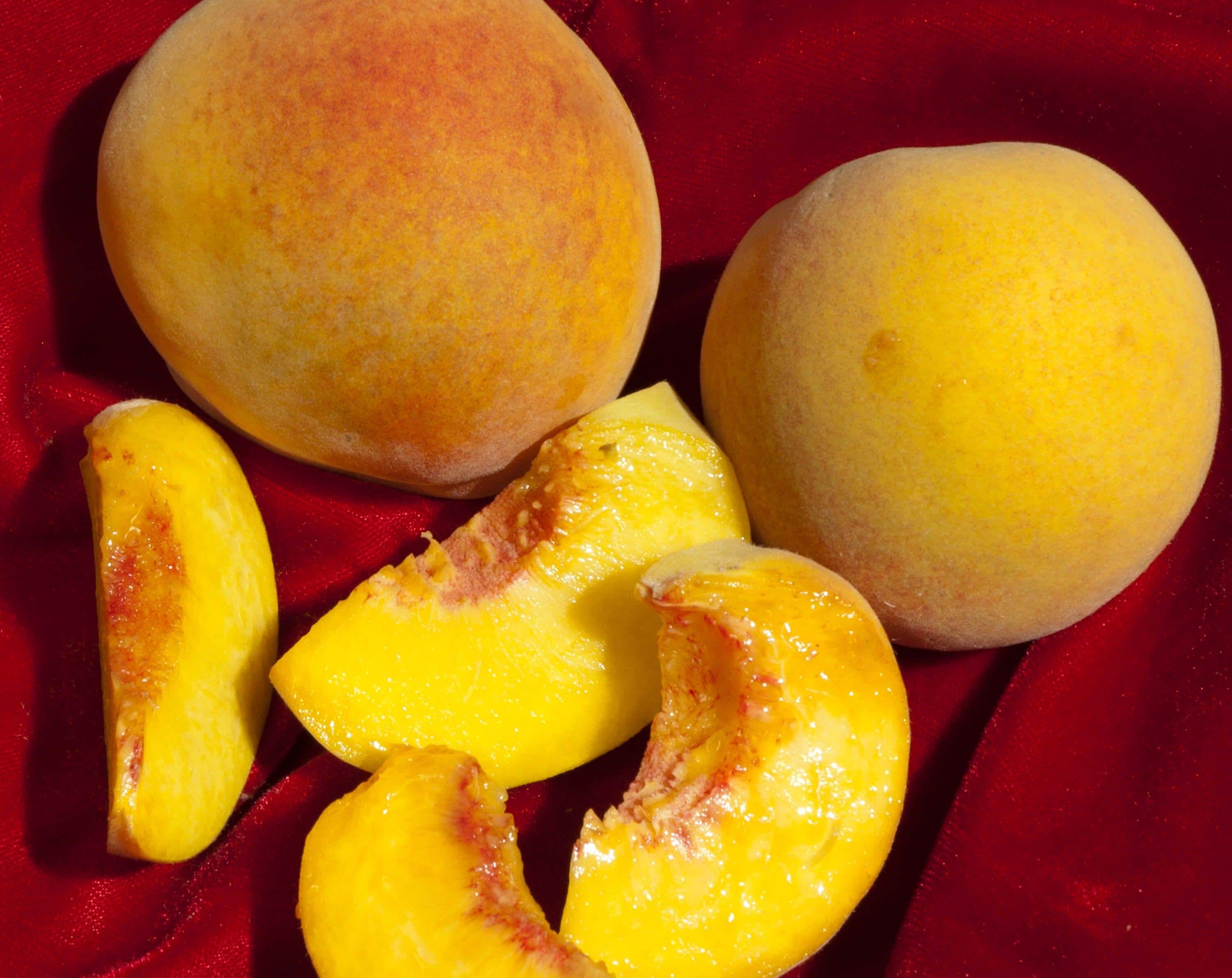 Red Baron Peach (5 Scion/cuttings) - Etsy