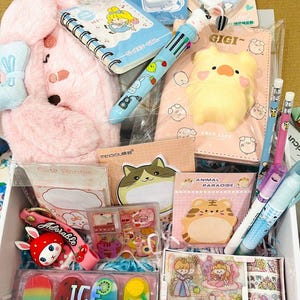 Stationary Gift Box | School Supplies Surprise Bundle | Niromeshop - Etsy