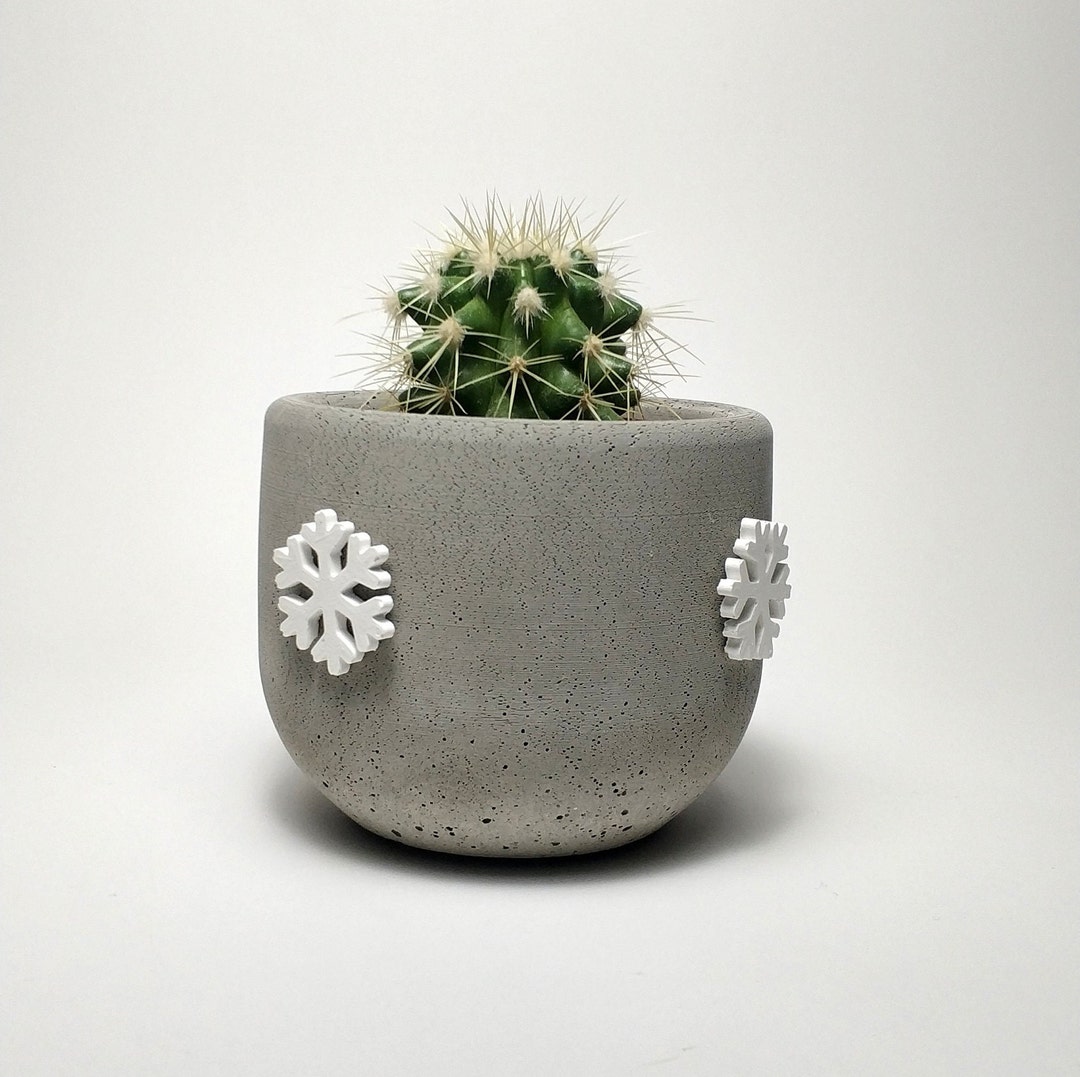 Snowflake Concrete Succulent Planter, Minimalist Decor - Etsy