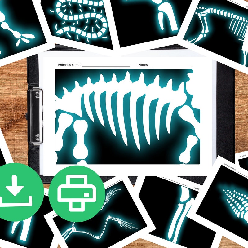 Xray Tech Surgery - Etsy