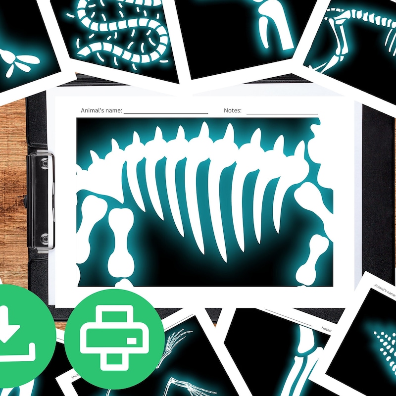 CreativeMoonStore - Etsy UK