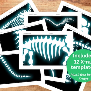 Printable Animal X-rays for Kids. Pretend Play Kids X-ray Activity for ...