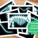 Printable Animal X-rays for Kids. Pretend Play Kids X-ray Activity for ...