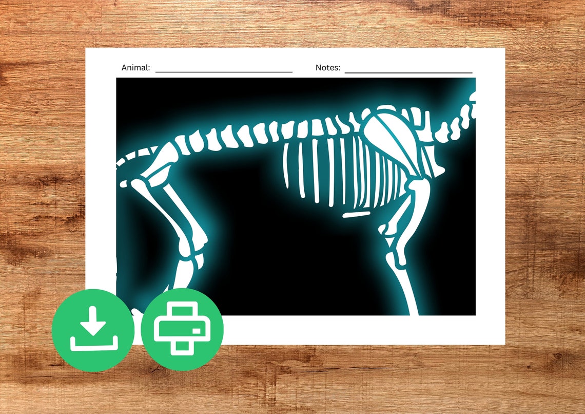 Printable Animal X-rays for Kids. Pretend Play Kids X-ray Activity for ...