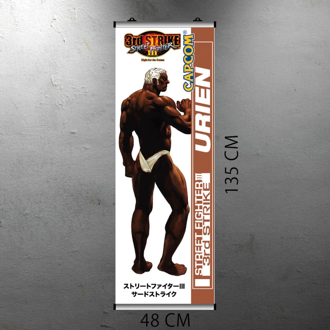 Street Fighter III 3rd Strike - URIEN Arcade Video Game FLYER Banner - Etsy