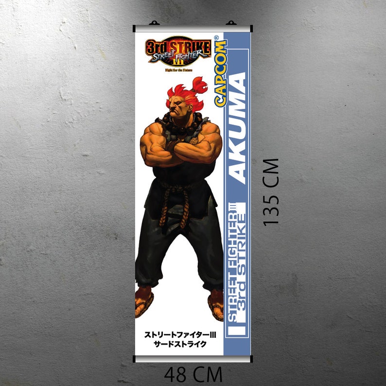 Street Fighter III 3rd Strike AKUMA Arcade Video Game FLYER - Etsy