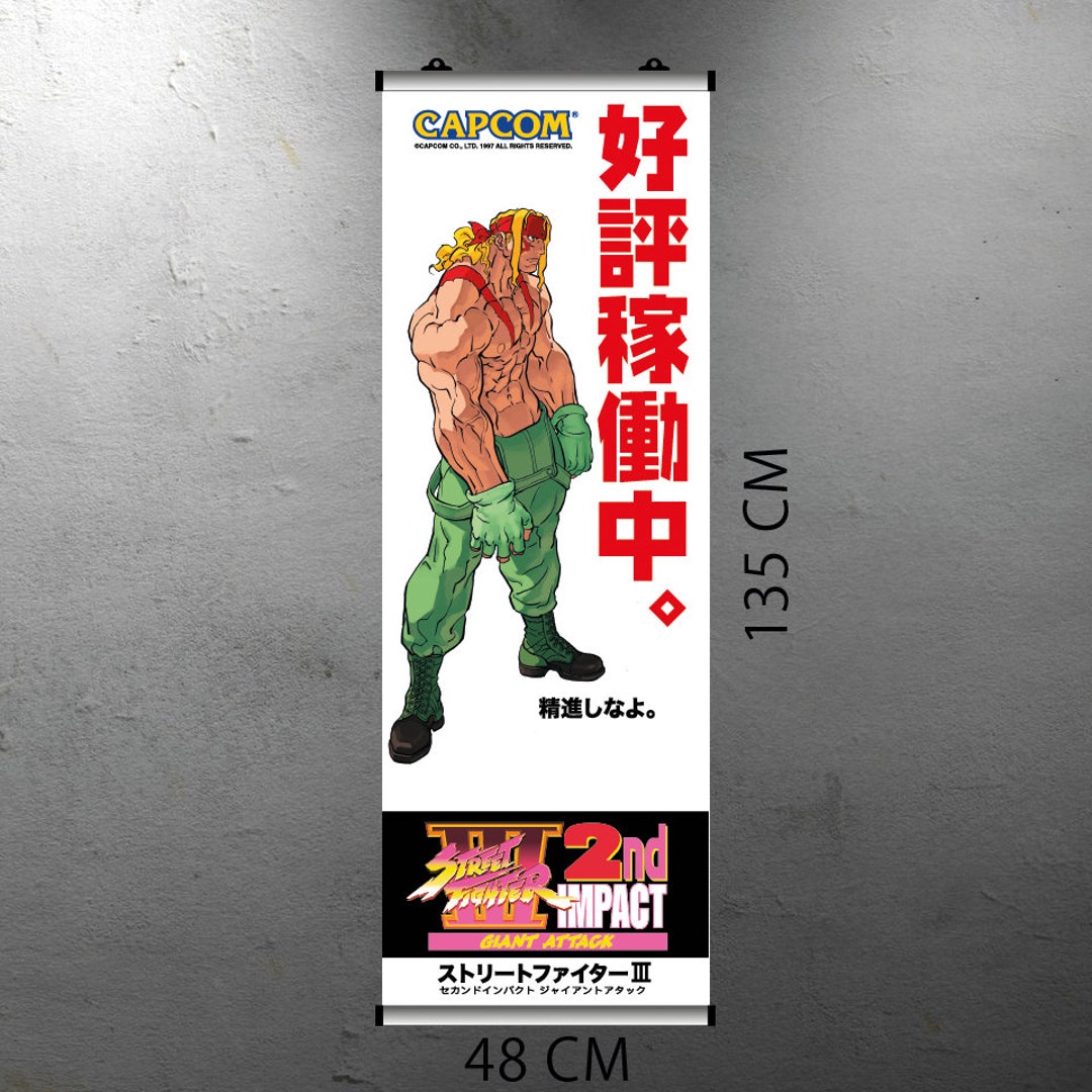 Street Fighter III 2nd Touch - ALEX Arcade Videospiel FLYER Banner ...