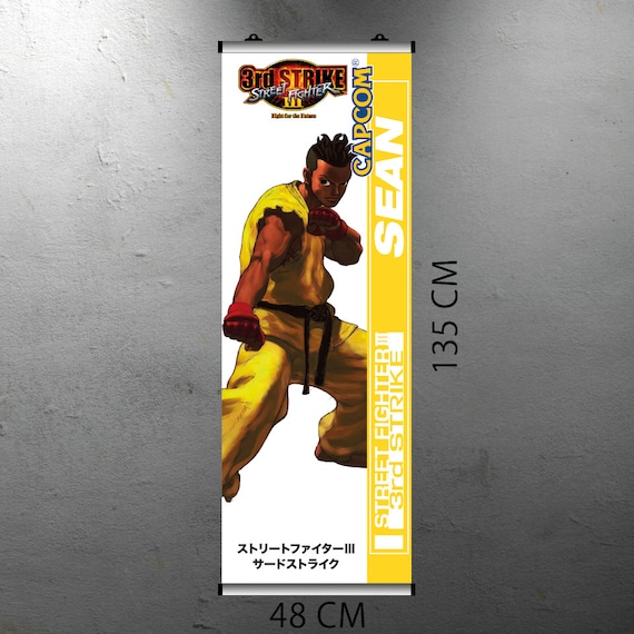 Sean Street Fighter Theme