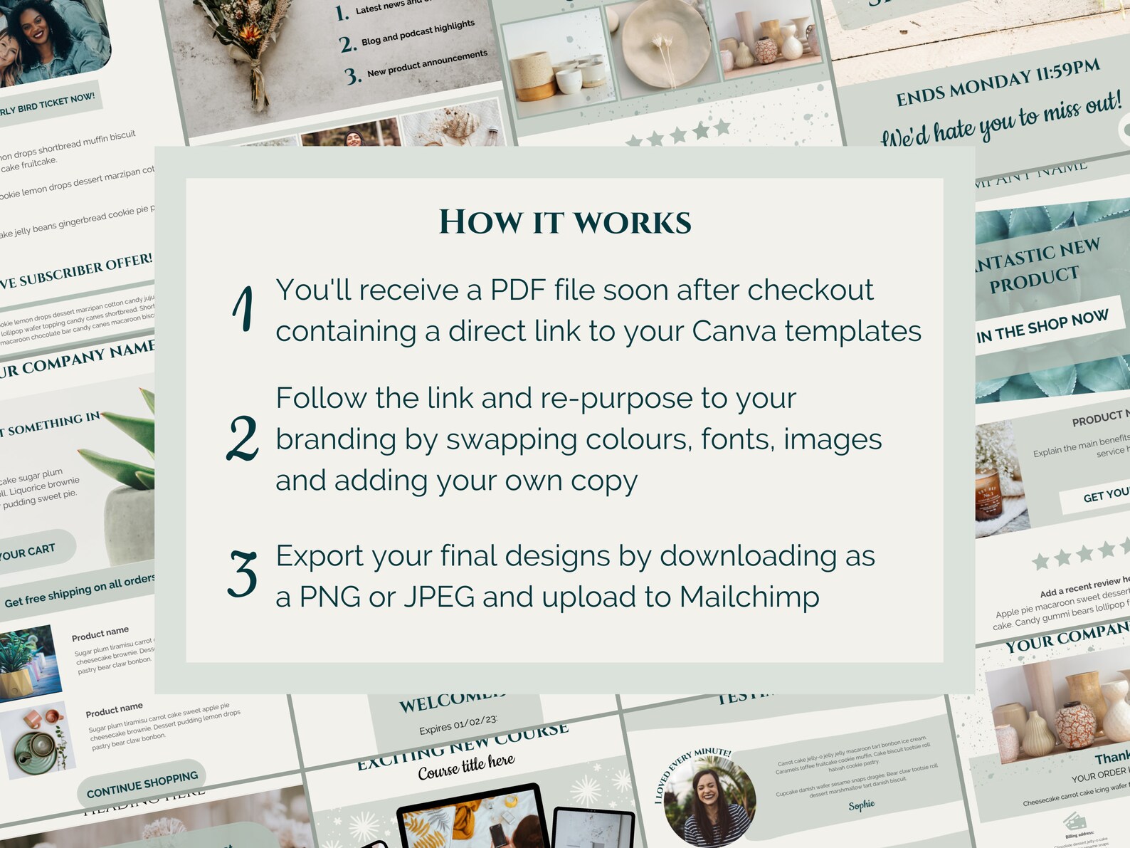 Canva Email Marketing Templates Newsletters Email Campaign - Etsy UK