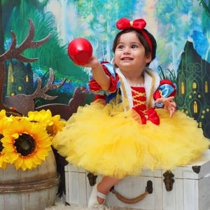 Princess Dress for Baby & Toddler - Toddler Tutu Dress - Girl Princess ...
