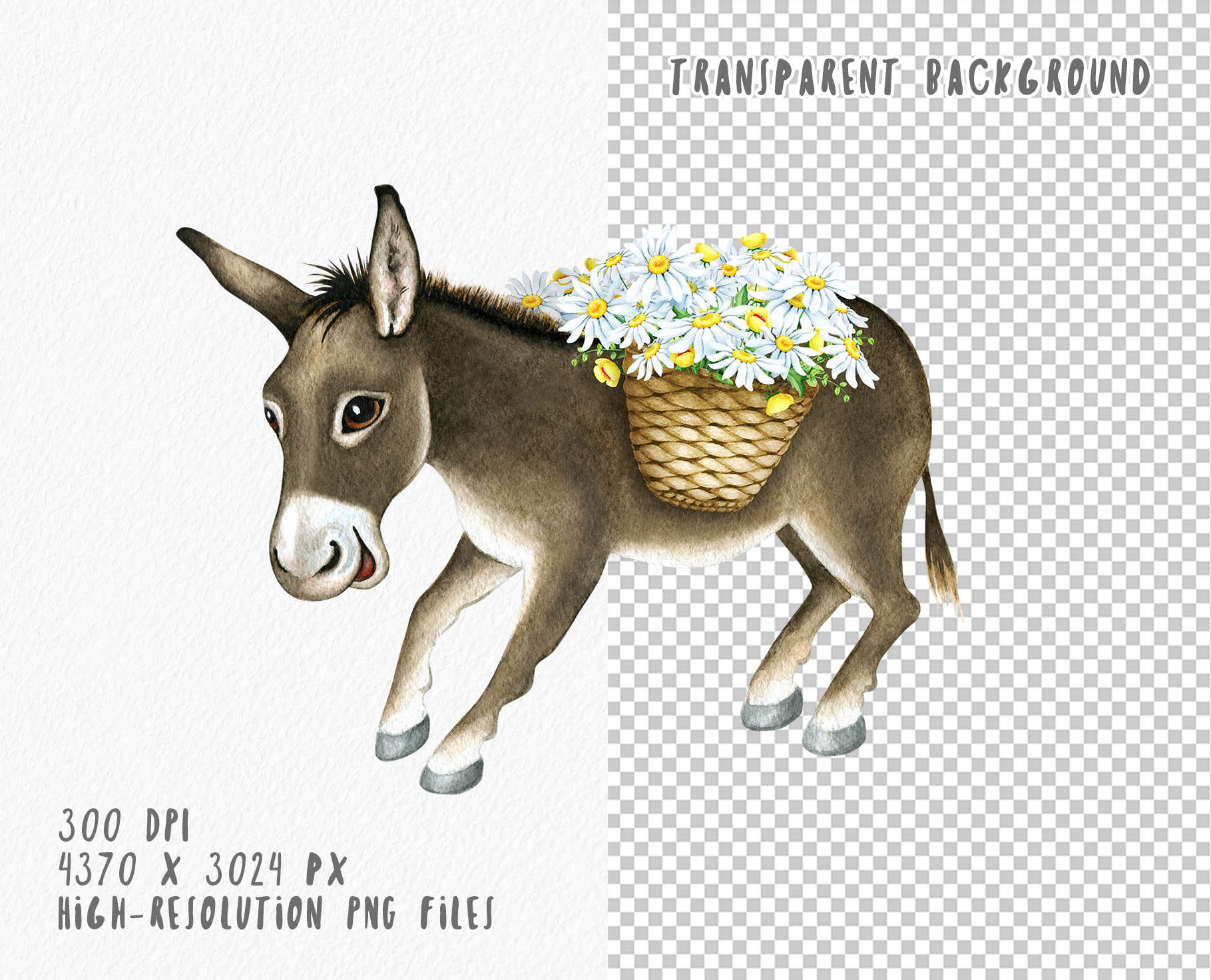 Cute Donkey Clipart. Watercolor Donkey With Flower Basket. Baby Donkey ...