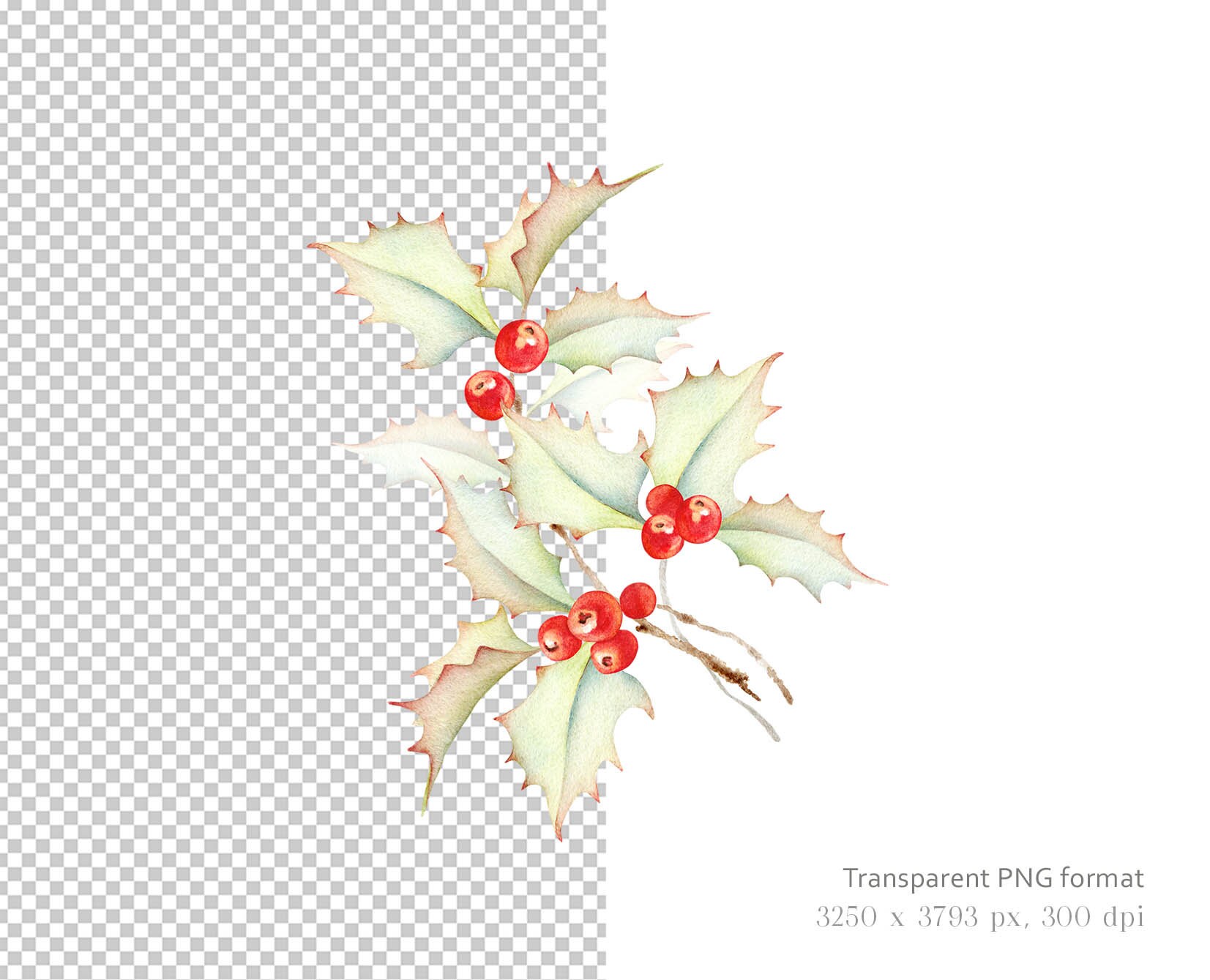 Watercolor Winter Bird Clipart. Christmas Set. Xmas Winter ...
