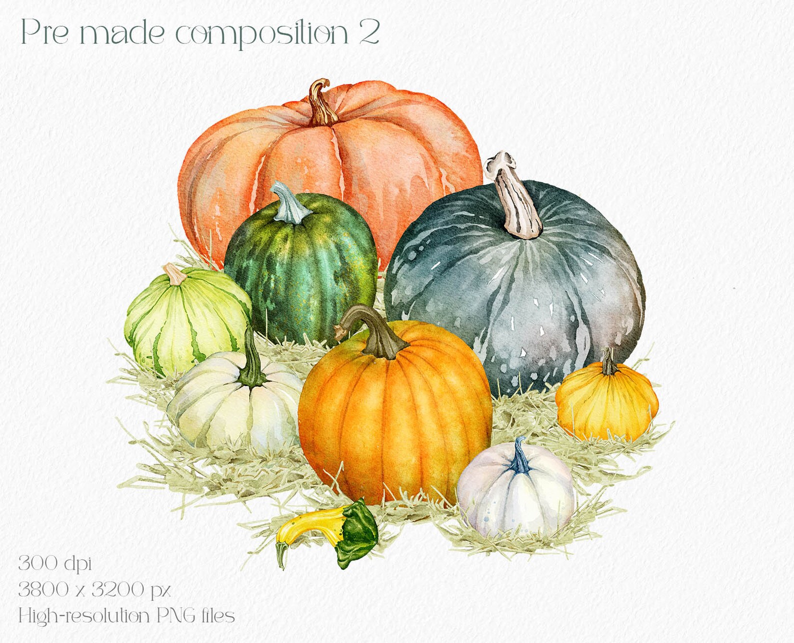 Watercolor Pumpkin Clipart. Autumn Pumpkins. Pumpkin Harving - Etsy