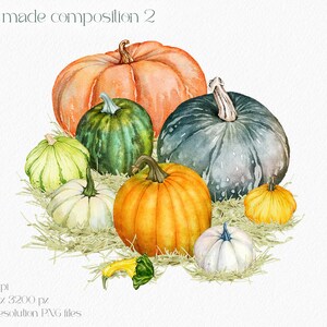 Watercolor Pumpkin Clipart. Autumn Pumpkins. Pumpkin Harving Clip Art ...