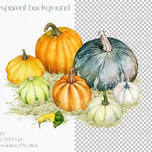 Watercolor Pumpkin Clipart. Autumn Pumpkins. Pumpkin Harving Clip Art ...