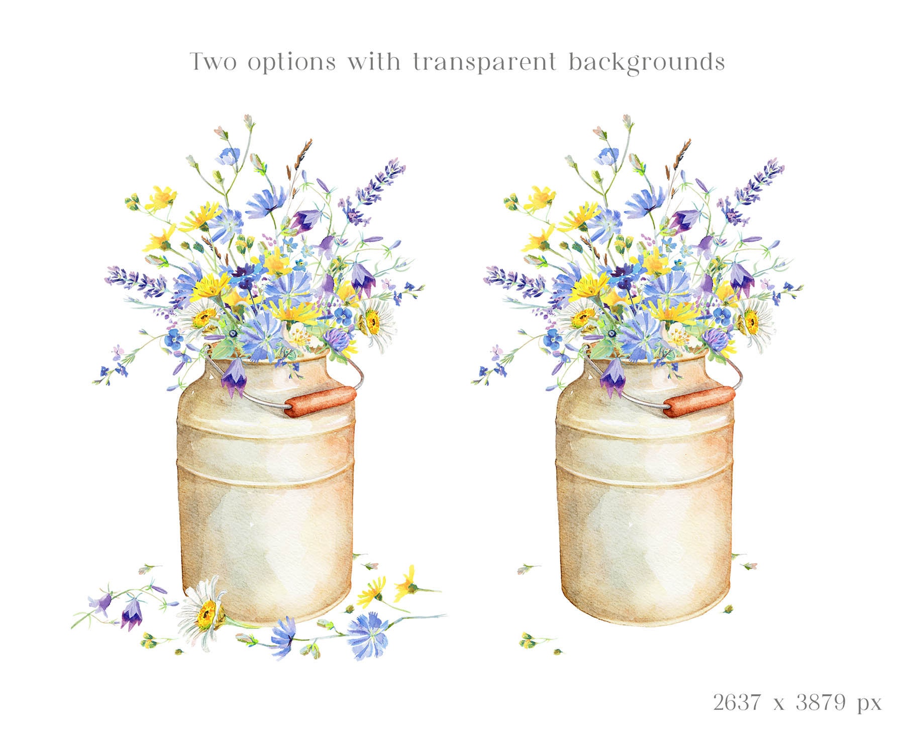 Meadow Flowers Clipart. Watercolor Floral Bouquet. Watercolor - Etsy