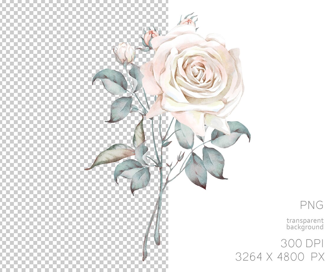 Watercolor Rose Clipart Watercolor Floral Arrangement White - Etsy