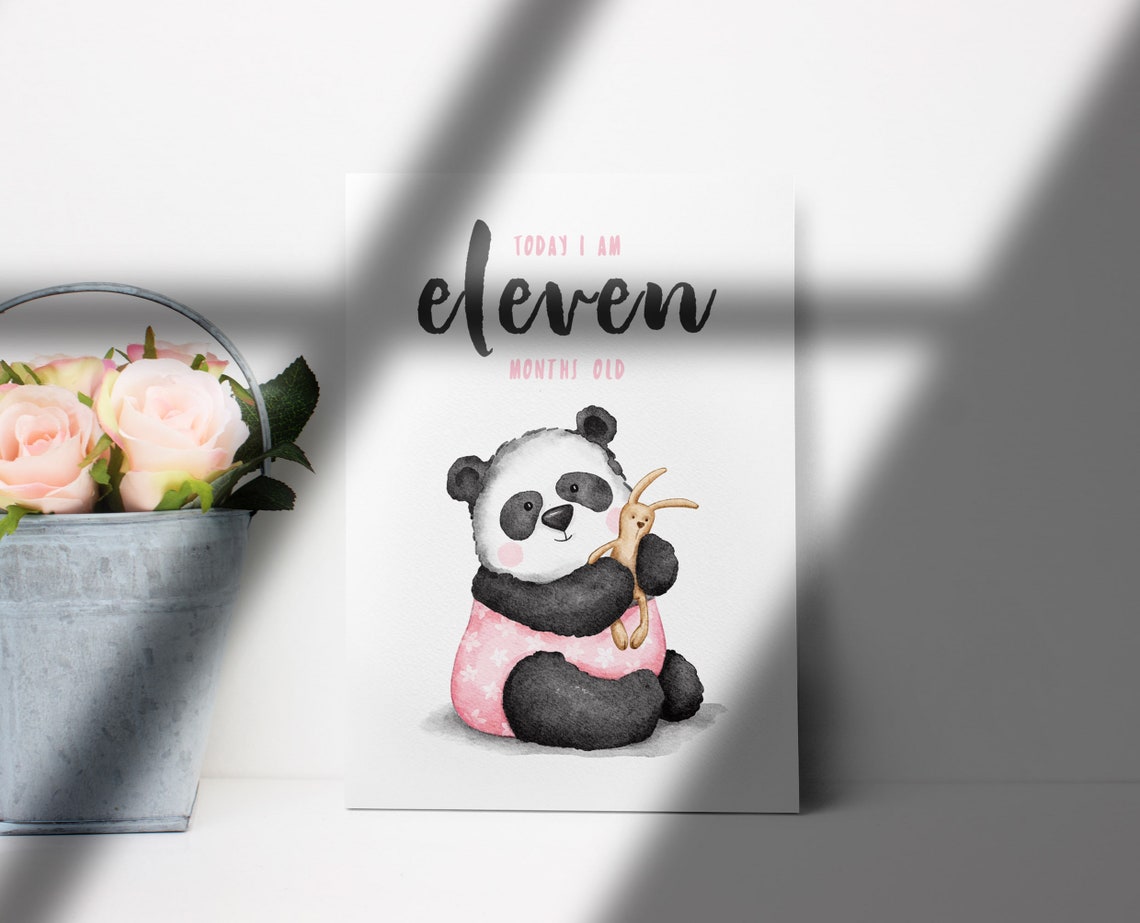 Panda Clipart Cute Baby Girl Panda Illustration Watercolor | Etsy