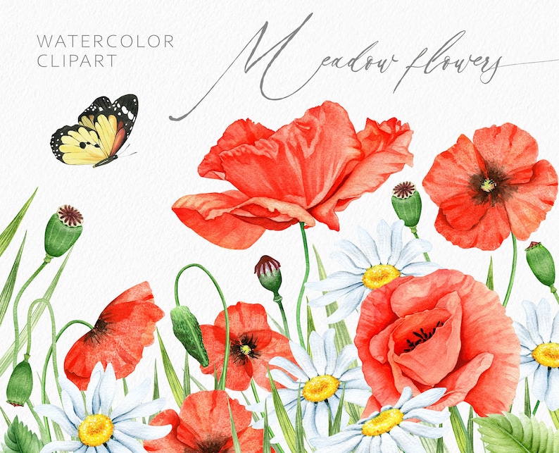 Watercolor Meadow Flowers Clipart. Watercolor Floral Clipart. - Etsy