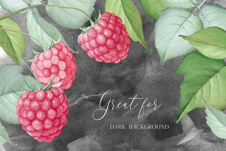 Raspberry Clipart. Watercolor Floral Clipart. Vintage - Etsy