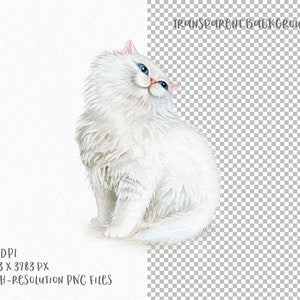 Kitty Cat Clipart Watercolor Cute Kitten White Cat Illustration Kitten ...