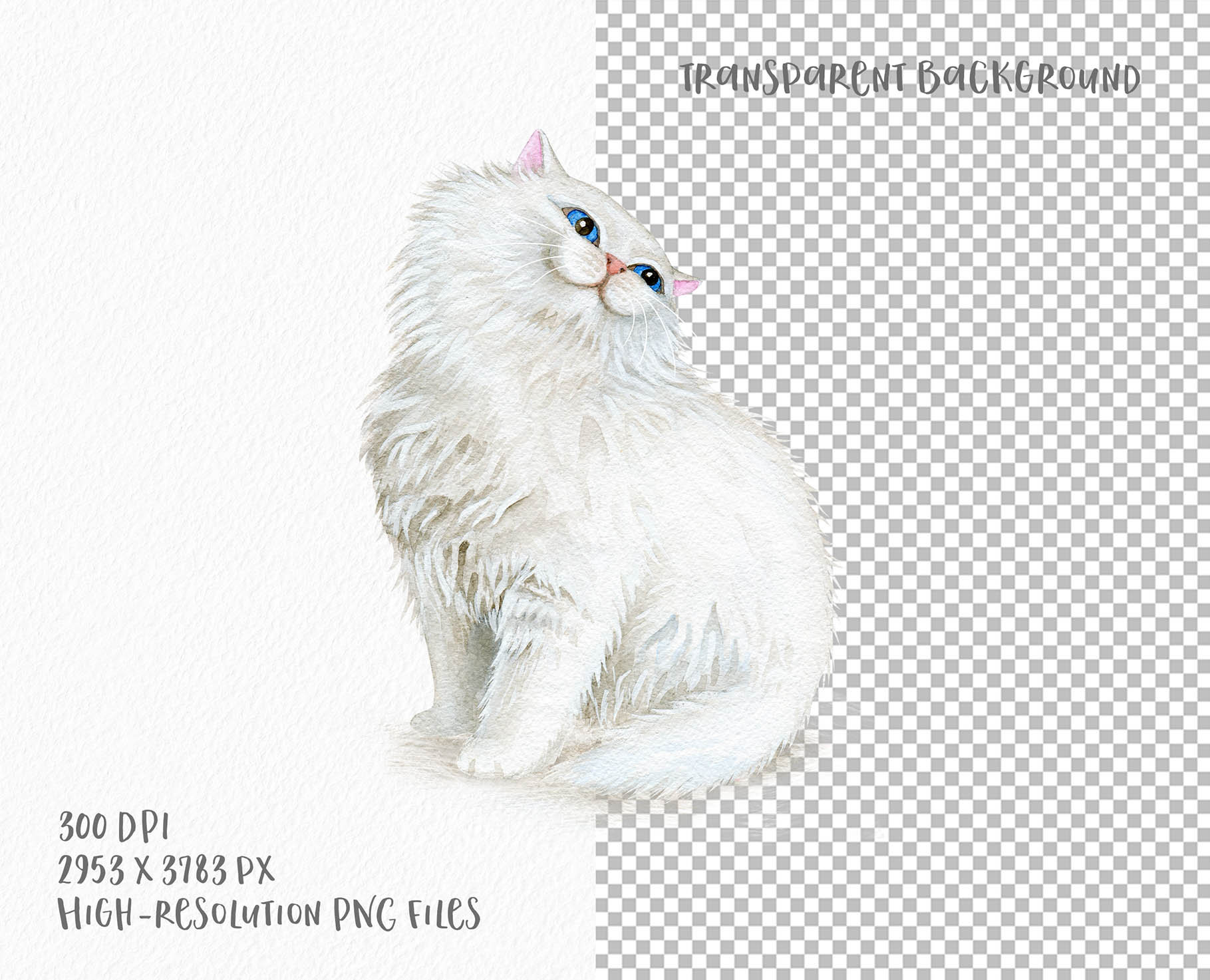 Kitty Cat Clipart Watercolor Cute Kitten White Cat - Etsy