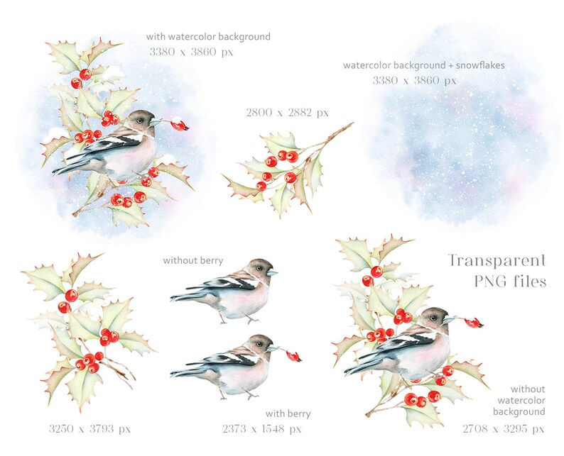 Watercolor Winter Bird Clipart. Christmas Set. Xmas Winter - Etsy