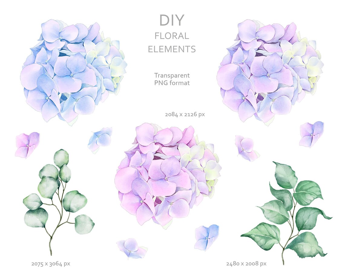 Flower Clipart Watercolor Hydrangea Clipart Floral Clipart Hydrangeas ...