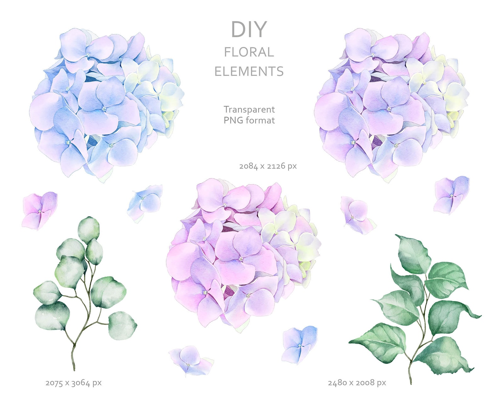 Flower Clipart Watercolor Hydrangea Clipart Floral Clipart - Etsy
