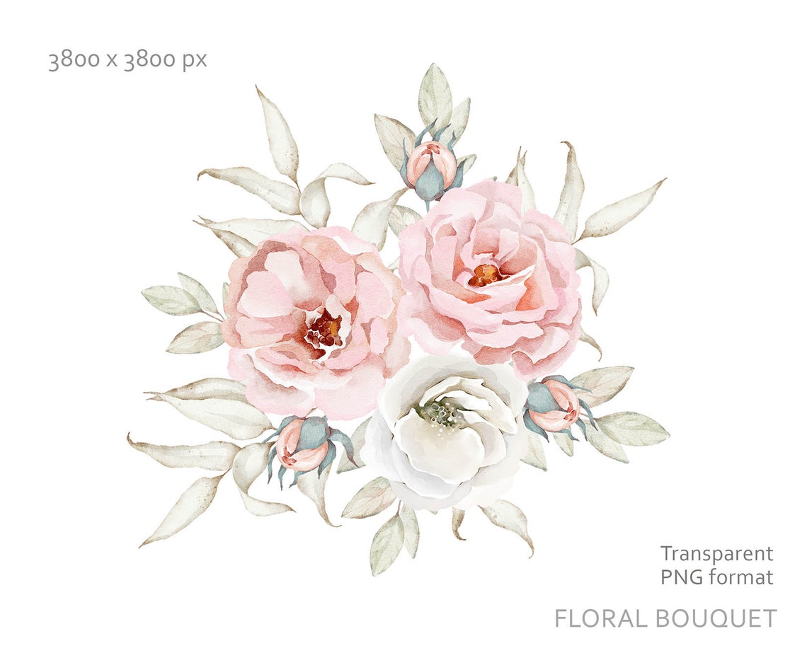 Boho Roses Clipart Watercolor Rose Bohemian Flower Floral - Etsy