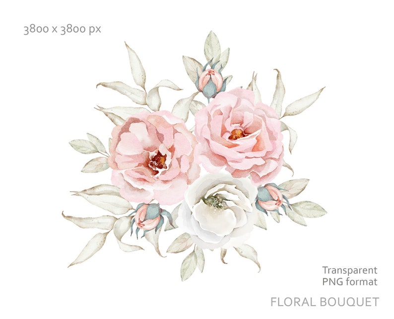 Boho Roses Clipart Watercolor Rose Bohemian Flower Floral - Etsy