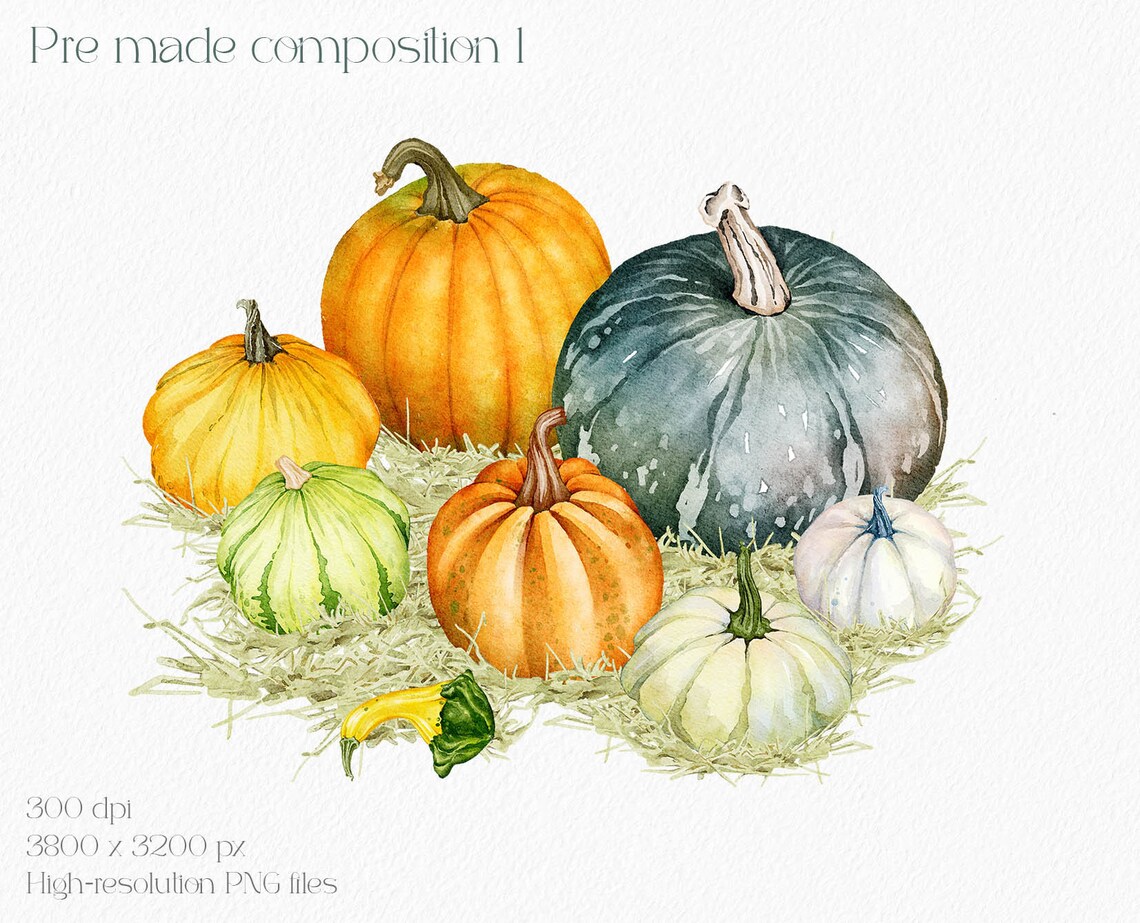 Watercolor Pumpkin Clipart. Autumn Pumpkins. Pumpkin Harving - Etsy