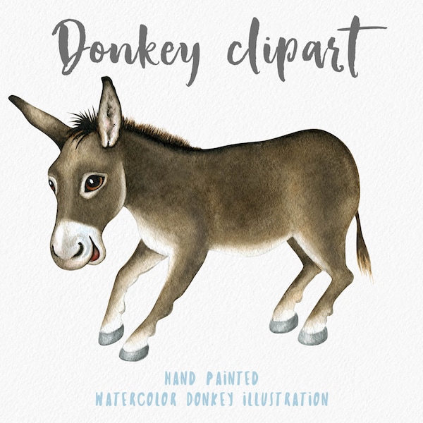 Watercolor Donkey - Etsy