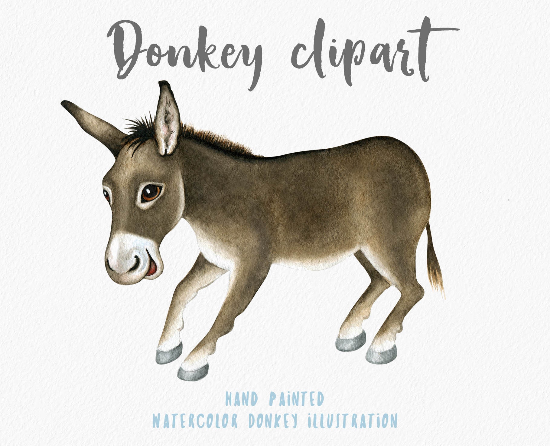 Cute Donkey Clipart. Watercolor Donkey With Flower Basket. Baby Donkey ...