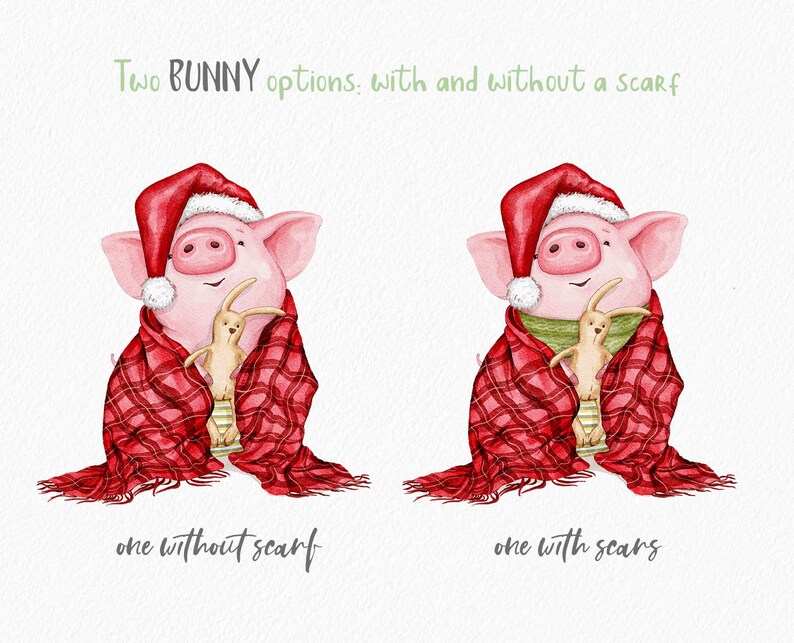 Watercolor Pig Clipart: in Santa Hat & Red Christmas Blanket. Christmas ...
